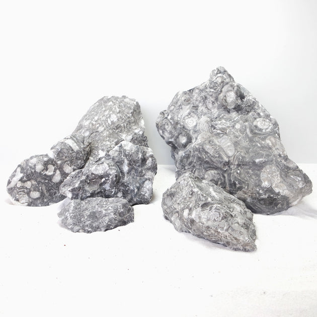 Sunk Jade Rock – HappyPets